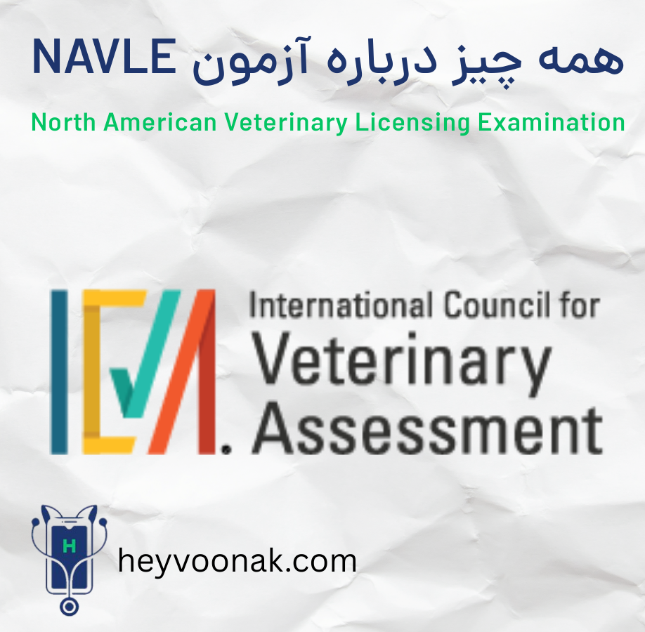 همه چیز درباره آزمون NAVLE | امتحان NAVLE دامپزشکی – حیوونک | Heyvoonak